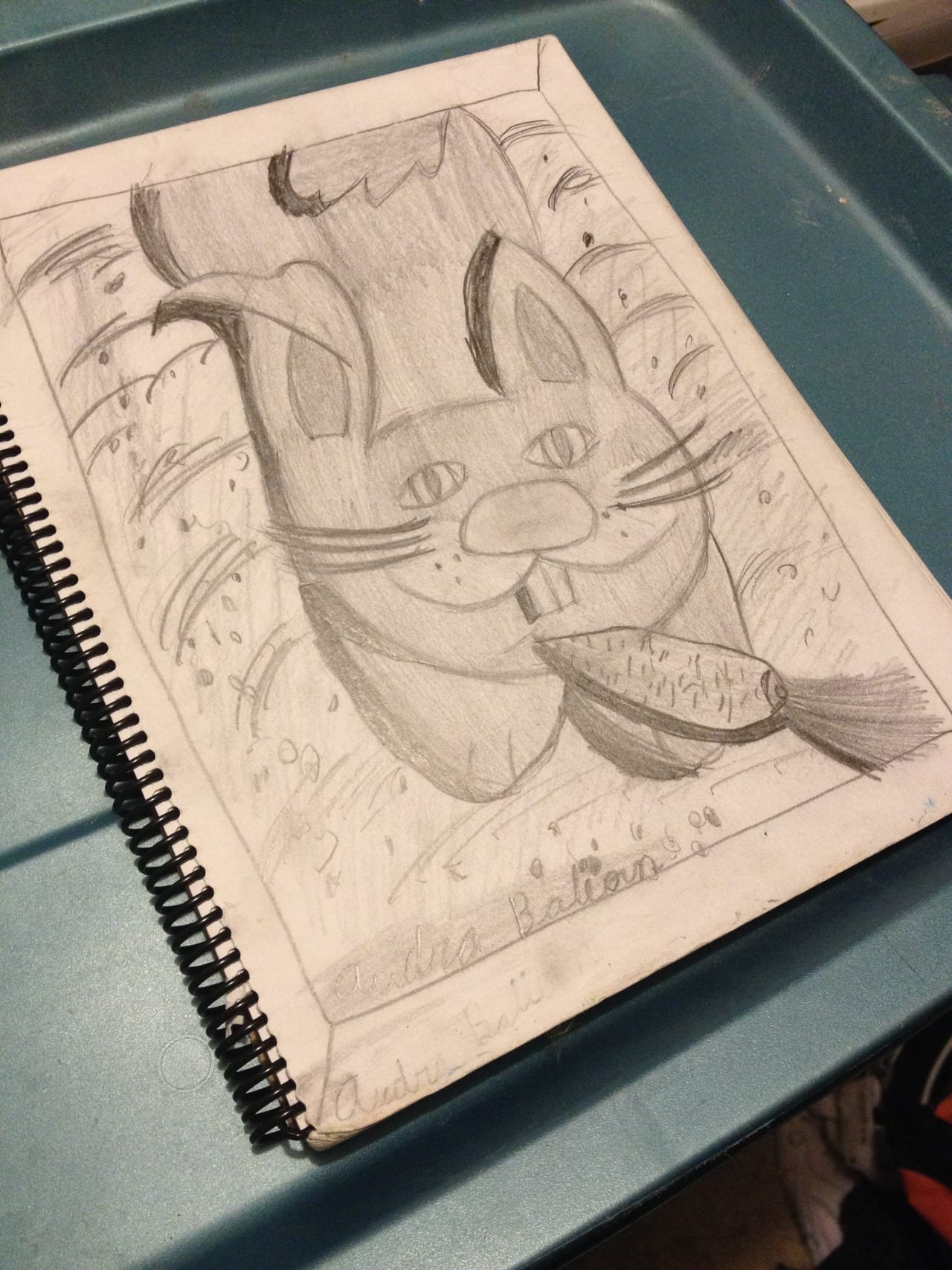 Want to Draw Better? Draw More Often. - Audra Balion